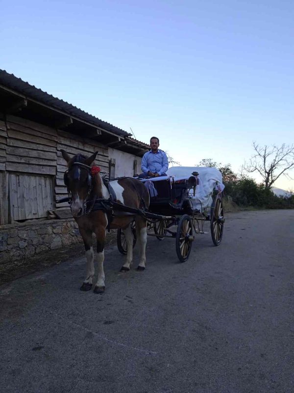 Patsios Horses - Βόλτα με Άλογα στη Λίμνη Δόξα Ορεινή Κορινθία