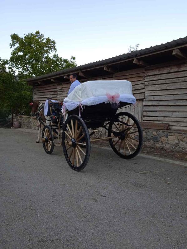 Patsios Horses - Βόλτα με Άλογα στη Λίμνη Δόξα Ορεινή Κορινθία
