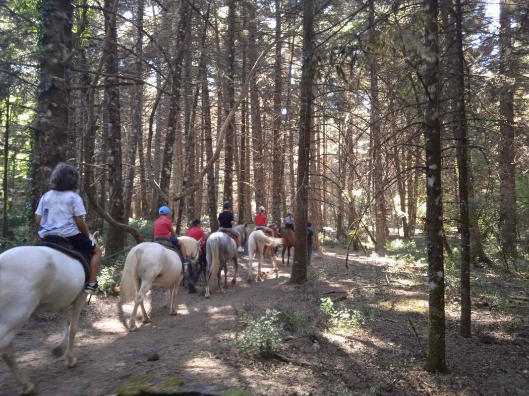 Patsios Horses - Βόλτα με Άλογα στη Λίμνη Δόξα Ορεινή Κορινθία