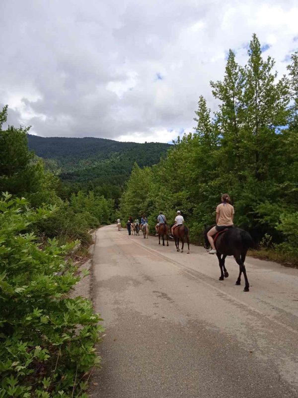 Patsios Horses - Βόλτα με Άλογα στη Λίμνη Δόξα Ορεινή Κορινθία